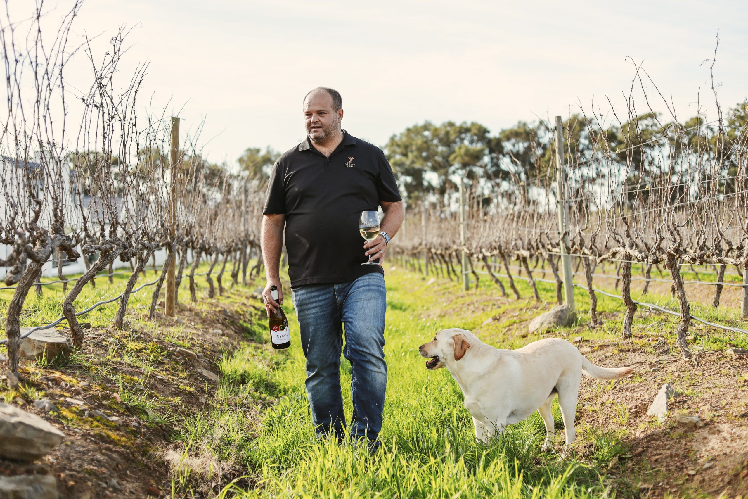 Rain, Sunshine, Wine and Fun - Bizoe Wines