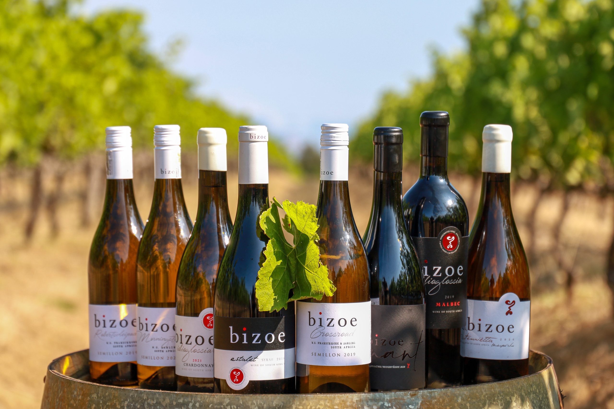 Wine-ing Down to the End of the Year - Bizoe Wines